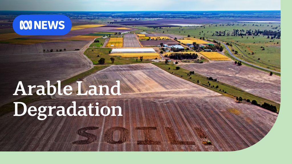 Soil degradation could affect 90% of arable land by 2050 - ABC News