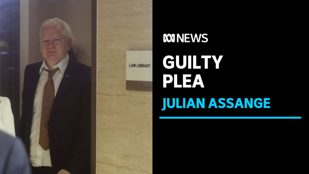 Kiama diver and photographer Scott Gutterson formed a relationship with ...