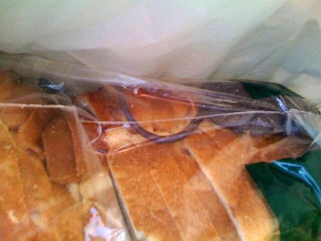 Live rat found in loaf of bread - ABC News