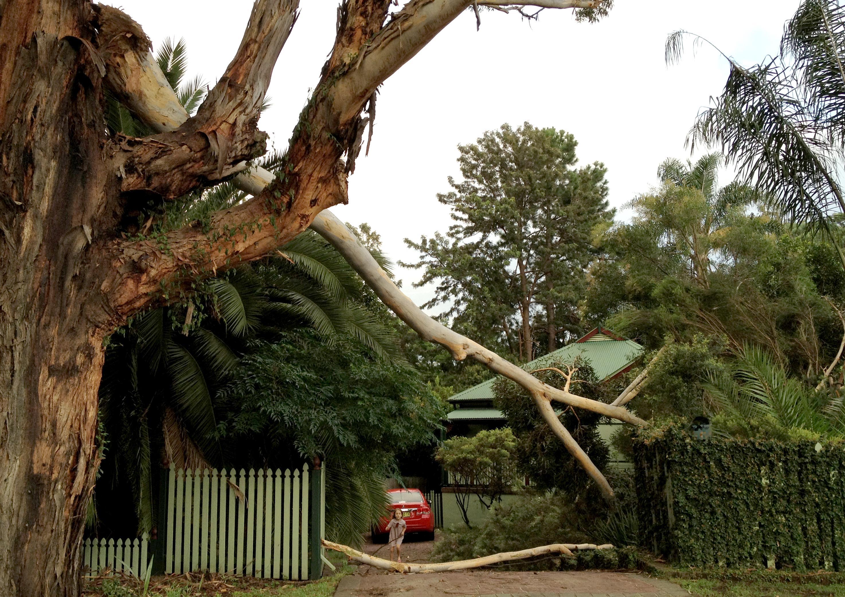 Are building bans warranted? - ABC listen