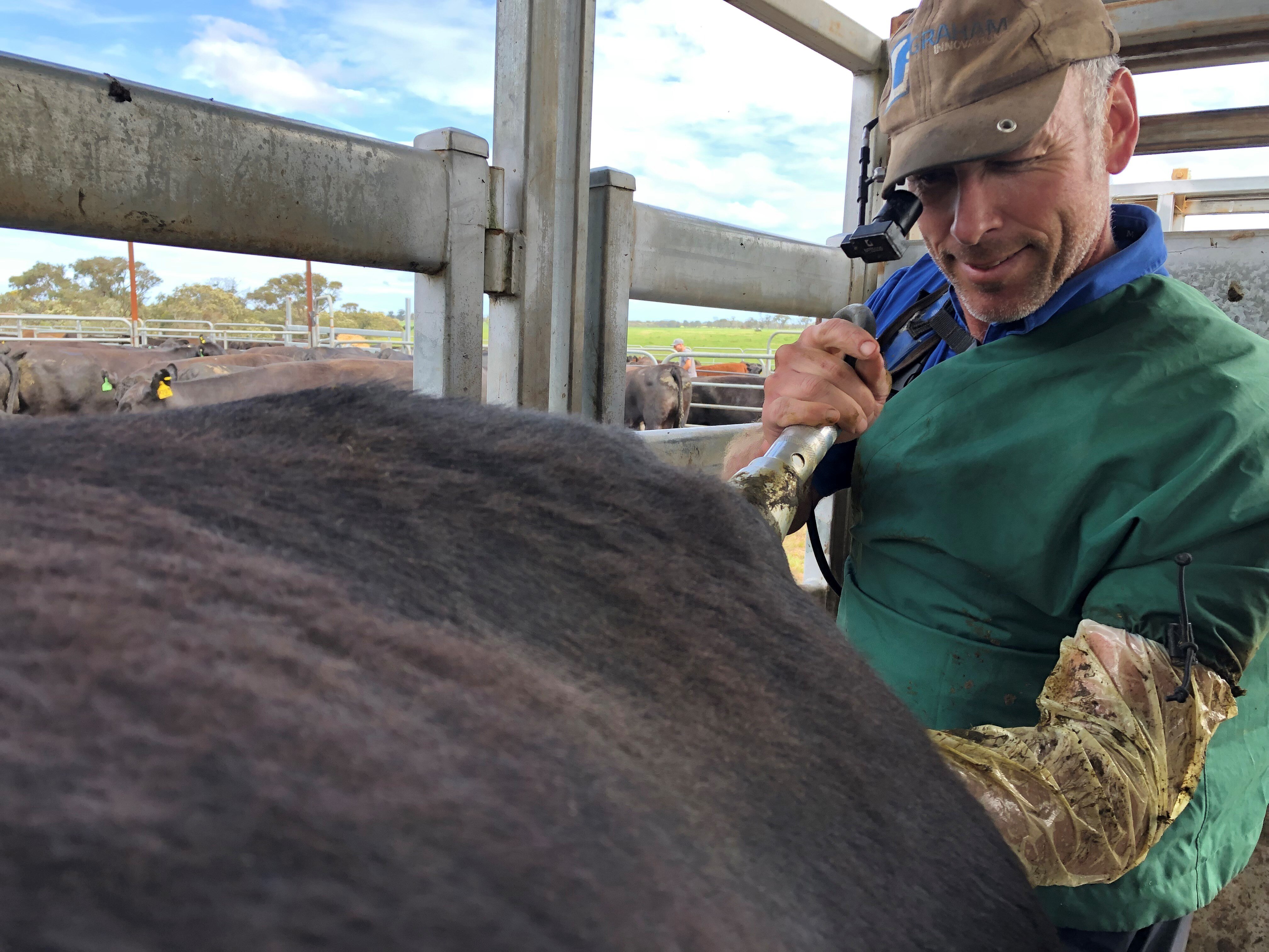 Pimple-popping community embracing Aussie farm videos - ABC News