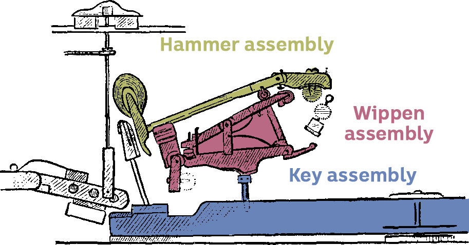 How does a piano work? - ABC Classic