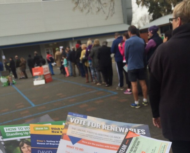 Election 2016: Fewer polling stations in SA not reason behind long ...