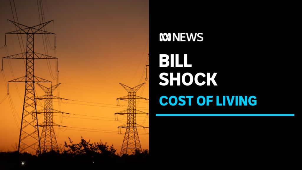 China's premier announces two new giant pandas bound for Adelaide Zoo ...