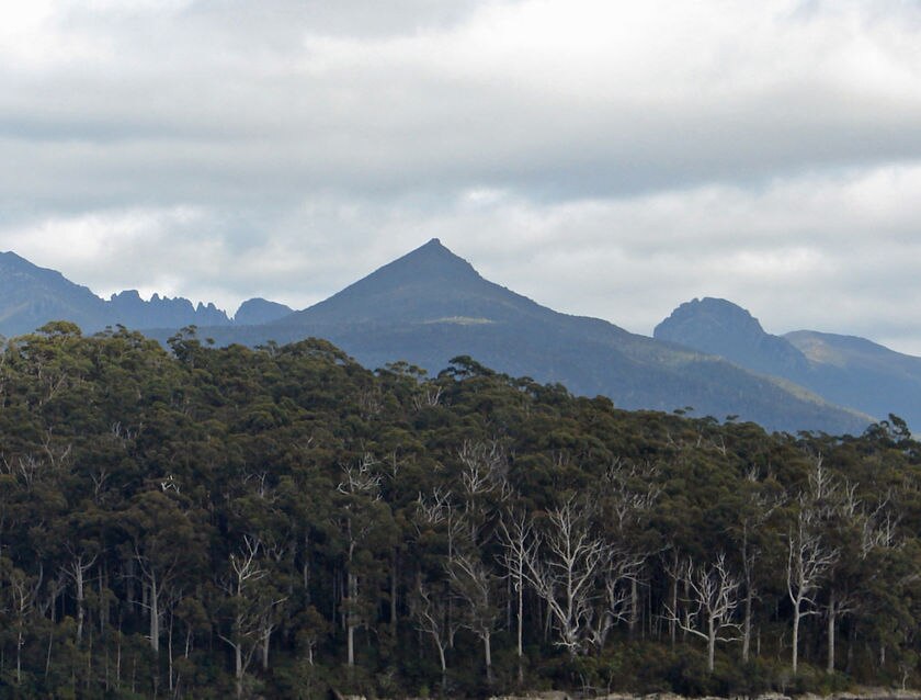 Bushwalker winched to safety - ABC News
