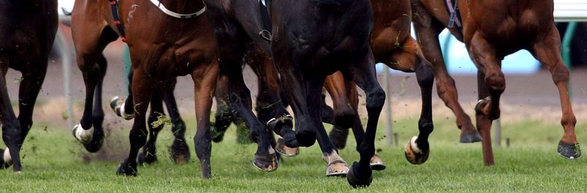 Infographic: Every Melbourne Cup winner ever - ABC News