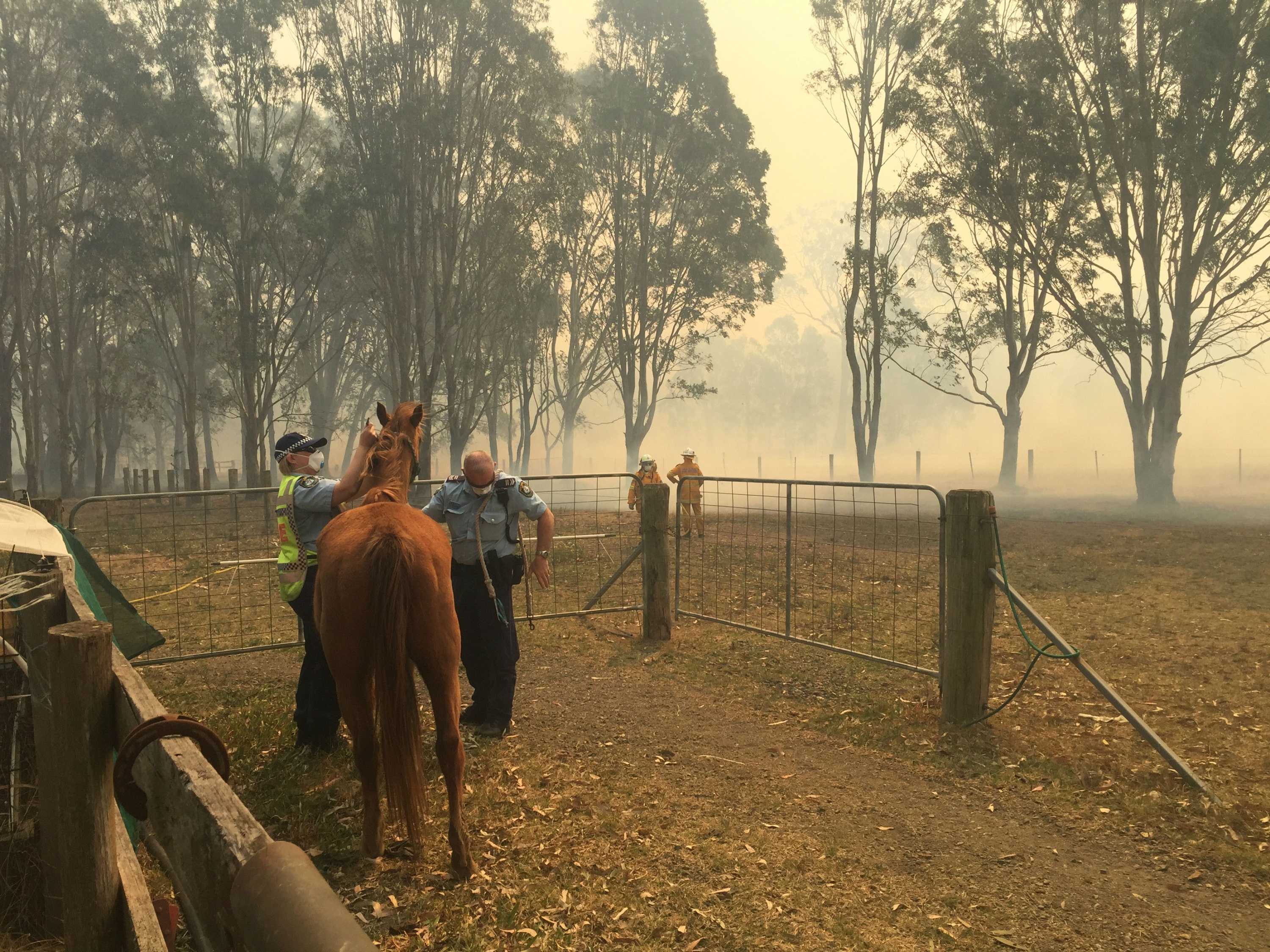 New South Wales fire conditions ease but more than 30 blazes ...