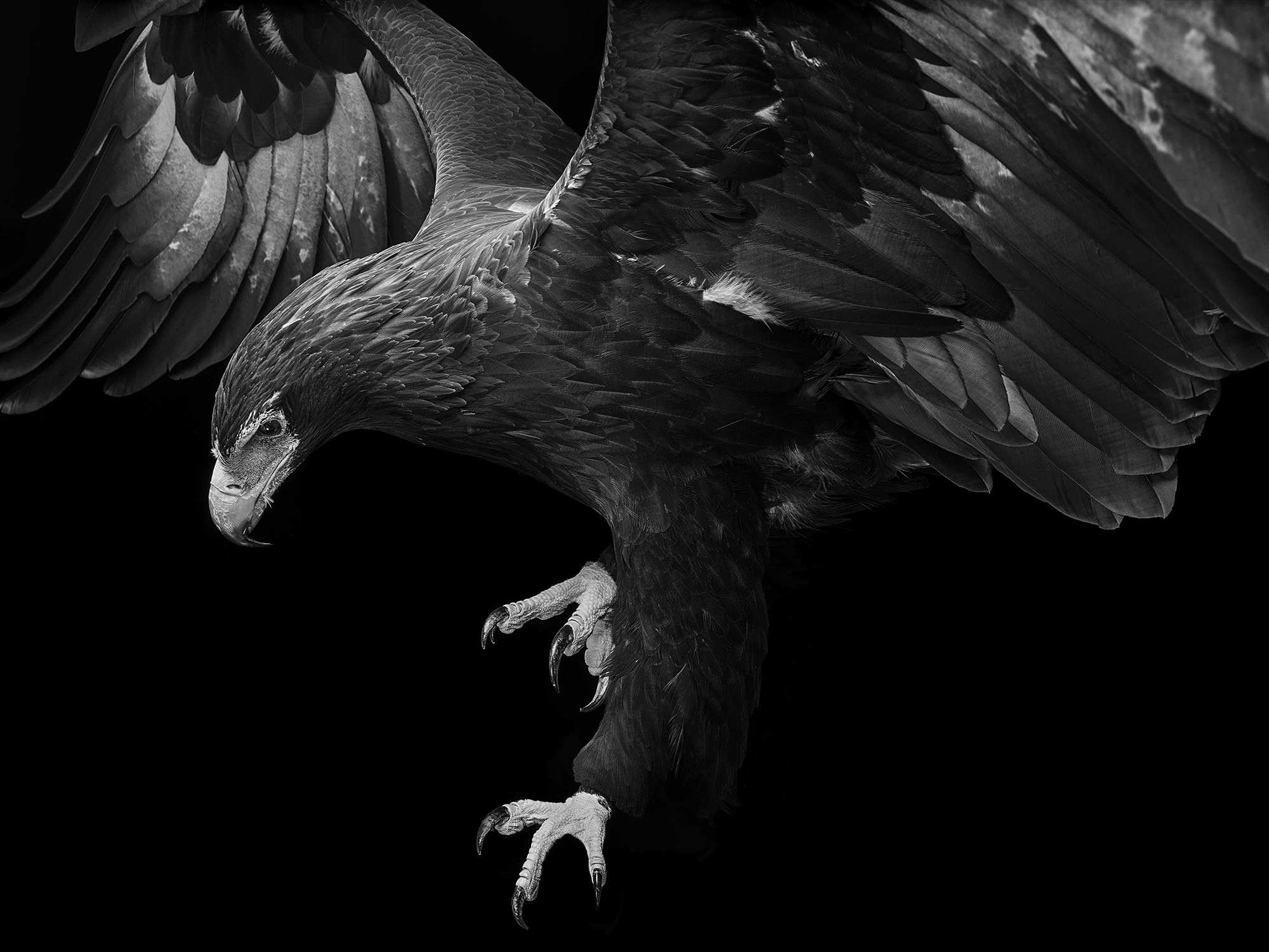 Gary Heery: Acclaimed Sydney fine art photographer swaps celebrity ...