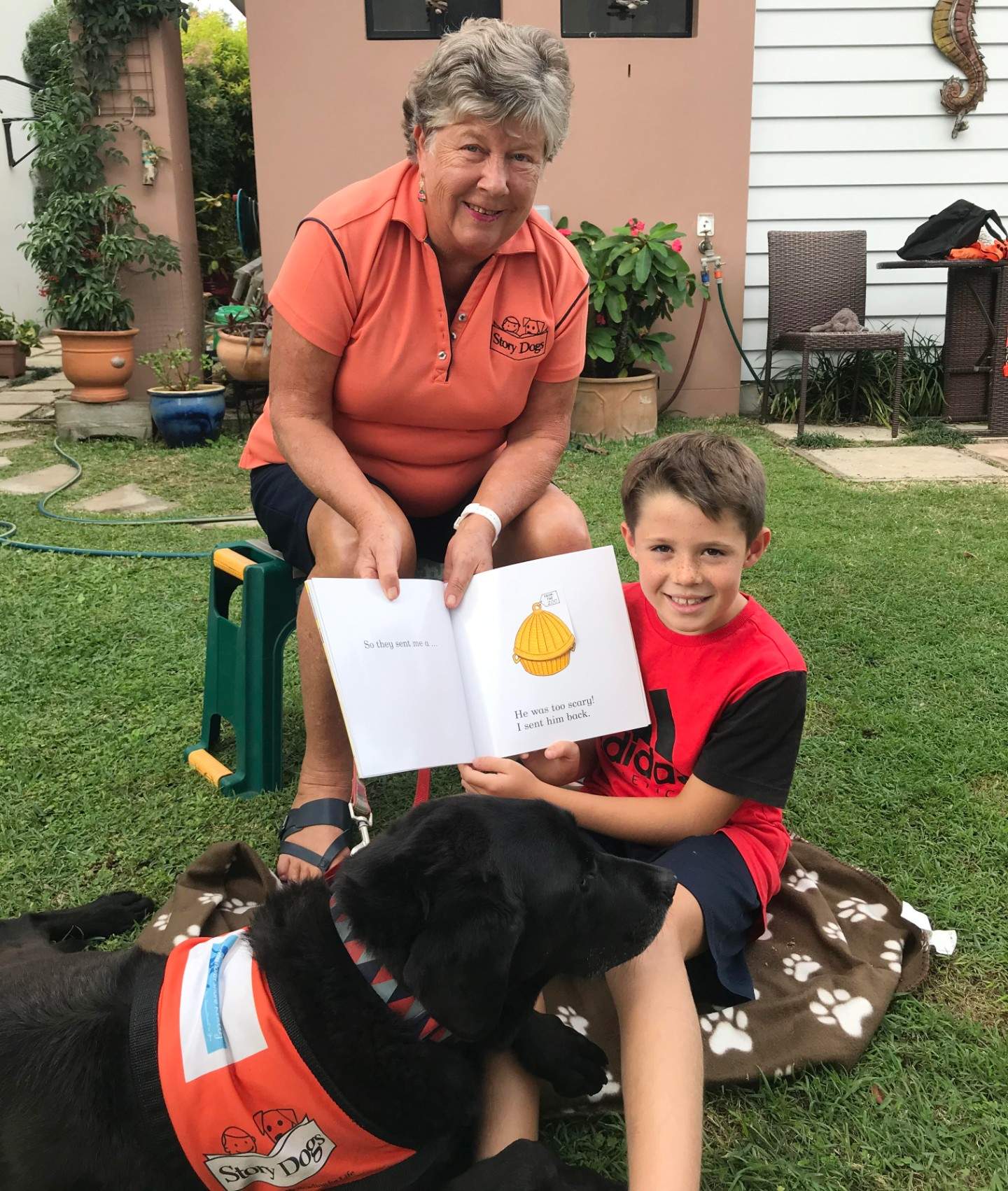 Story Dogs grounded by COVID-19 just want to return to school and read ...