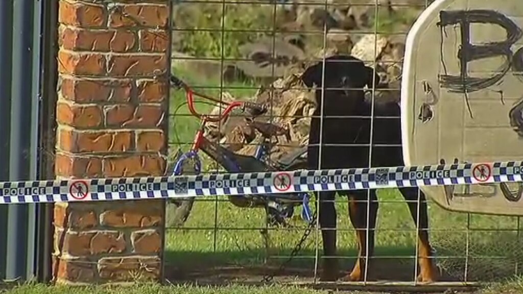 Biddeston shooting: Pregnant woman among three found dead at house near ...