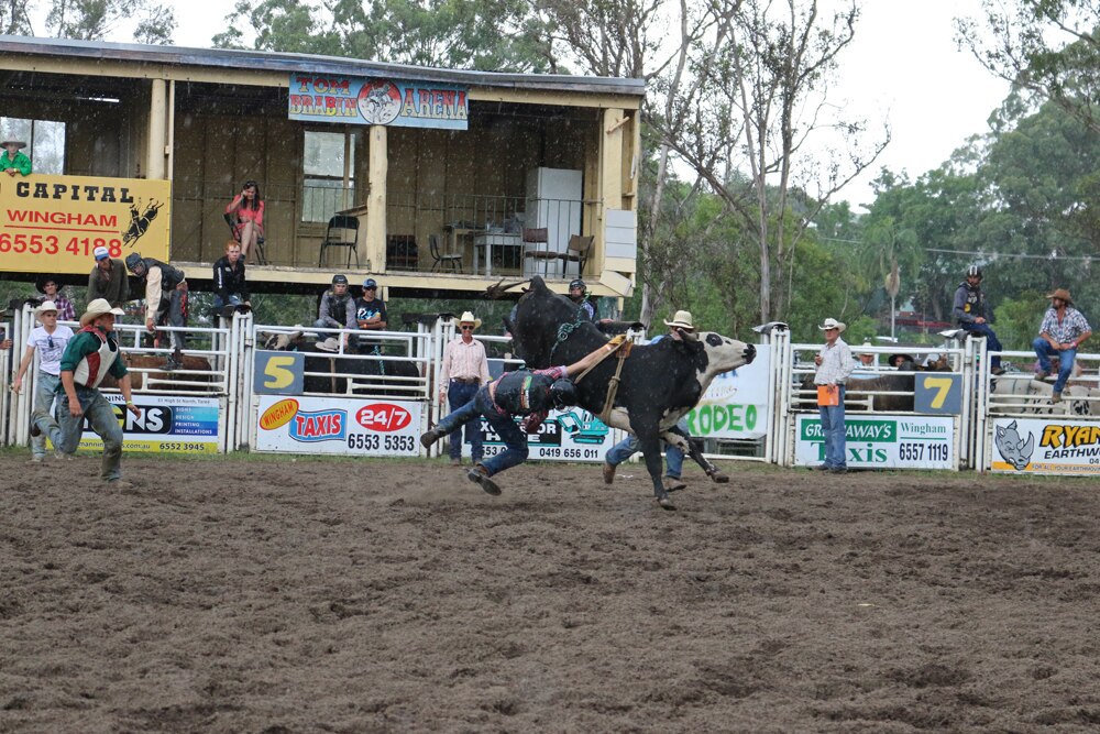 Novice Bull Ride at the 2015 Wingham Show Rodeo - ABC News