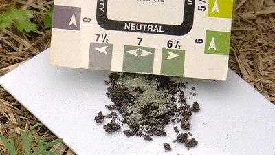 Soil pH - Gardening Australia