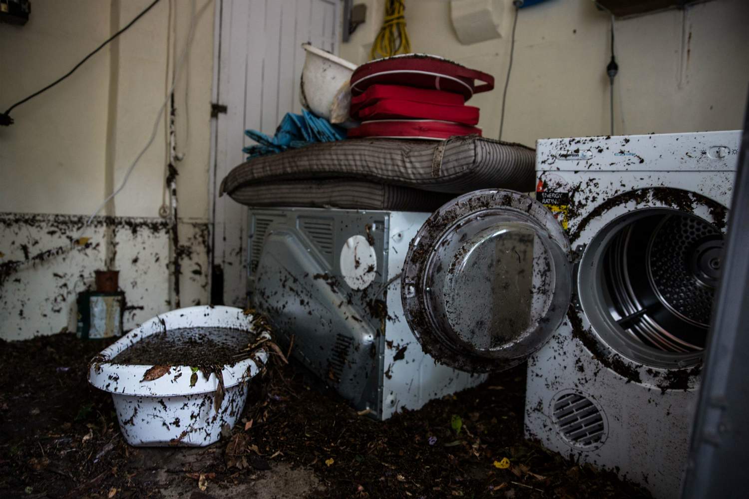 Sydney weather subsides, storm clean-up begins with fish finding its ...