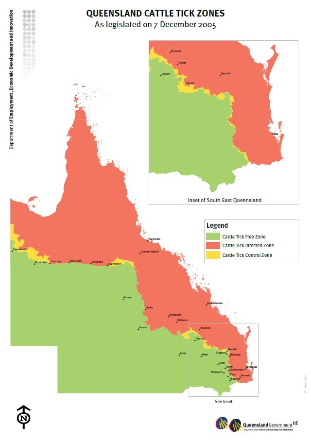 Queensland's new cattle tick line released, abolishing 'control zones ...