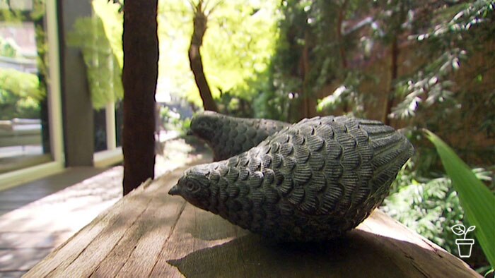 My Garden Path - Hugh Main - Gardening Australia