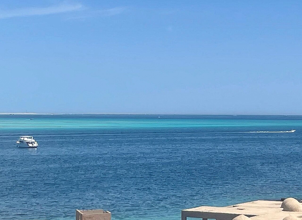 Four-year-old boy left with 'horrific' facial injuries after mauling by ...