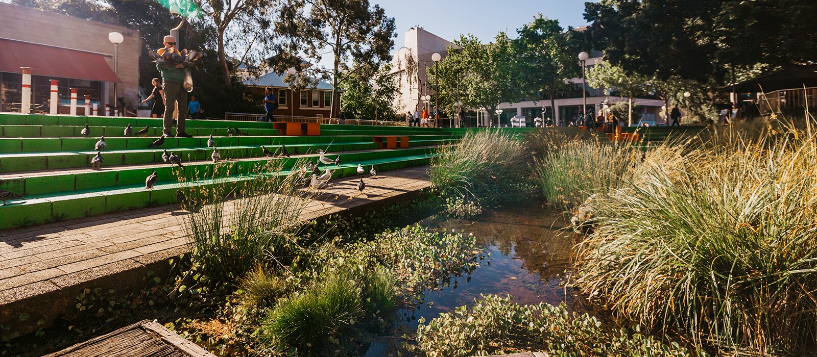 Perth's urban wetland scrapped in $35m cultural centre redevelopment ...