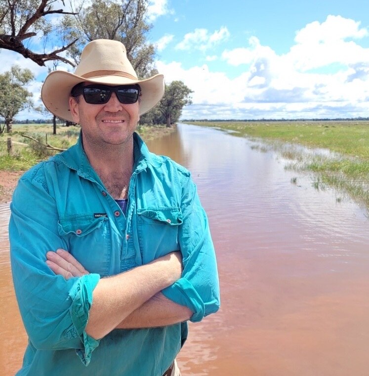 La Niña-induced wet summer may spell further disaster for NSW harvest ...