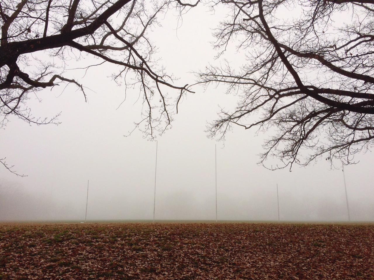 Why does winter fog occur? Bureau of meteorology explains - ABC listen