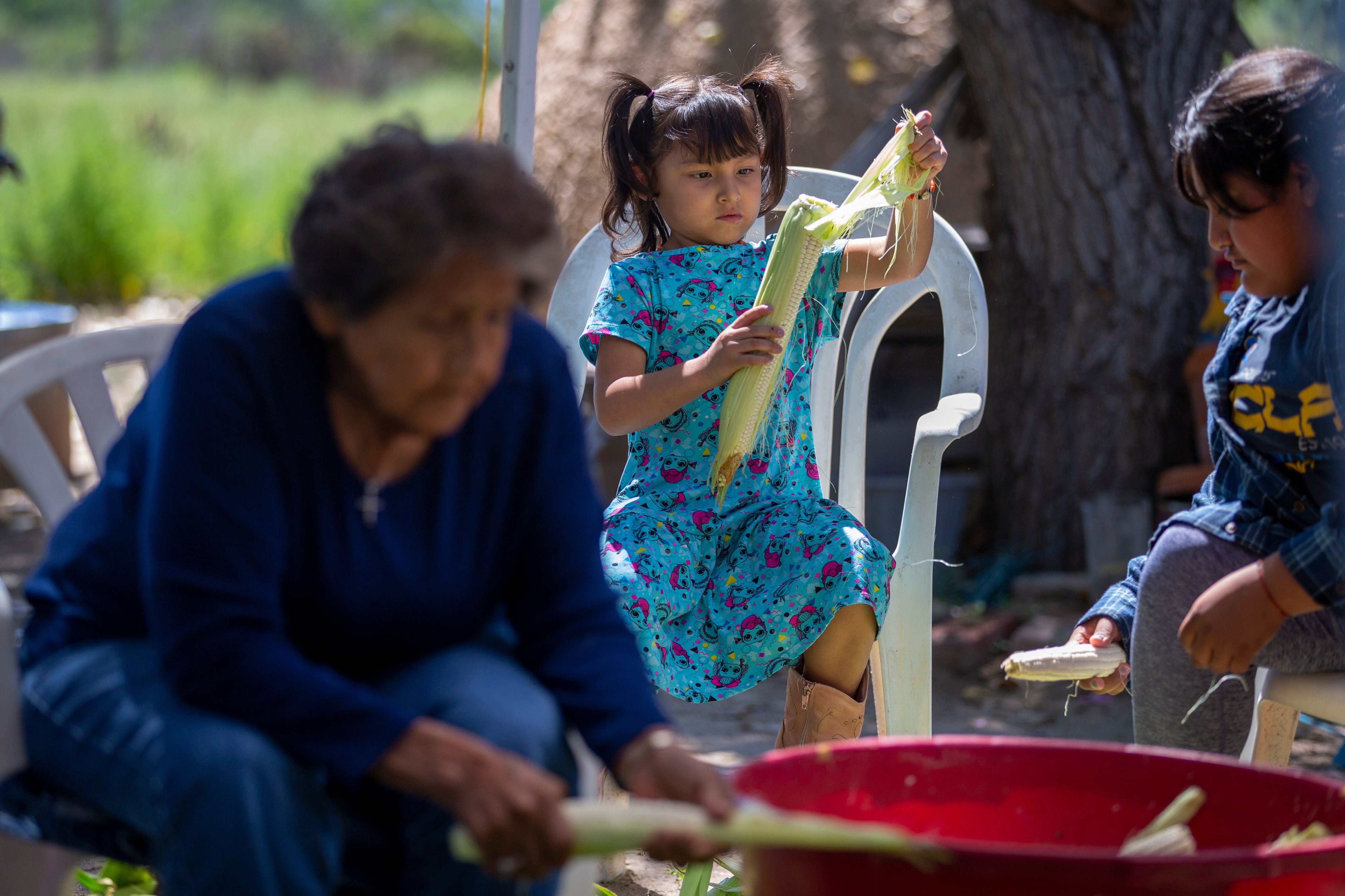 Tewa tribe in New Mexico seeks to adapt as climate change alters ...