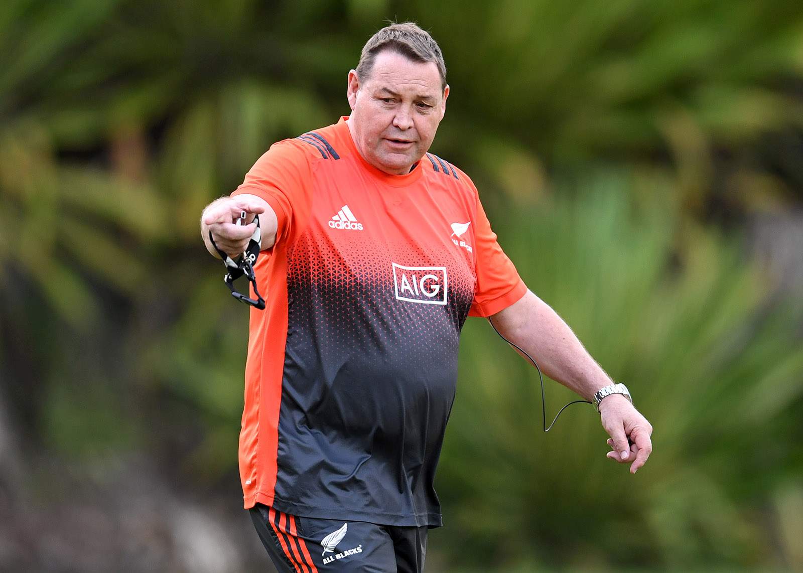 Former All Blacks coach Steve Hansen says Australian rugby needs ...