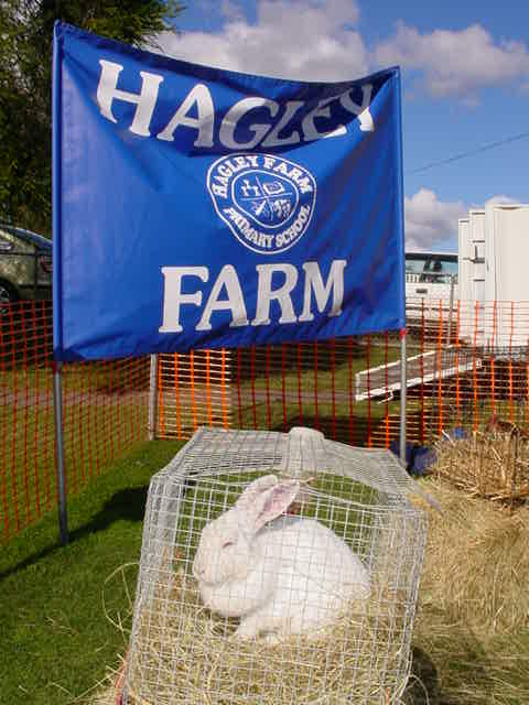 Hagley primary school raises flag for farm studies - ABC News