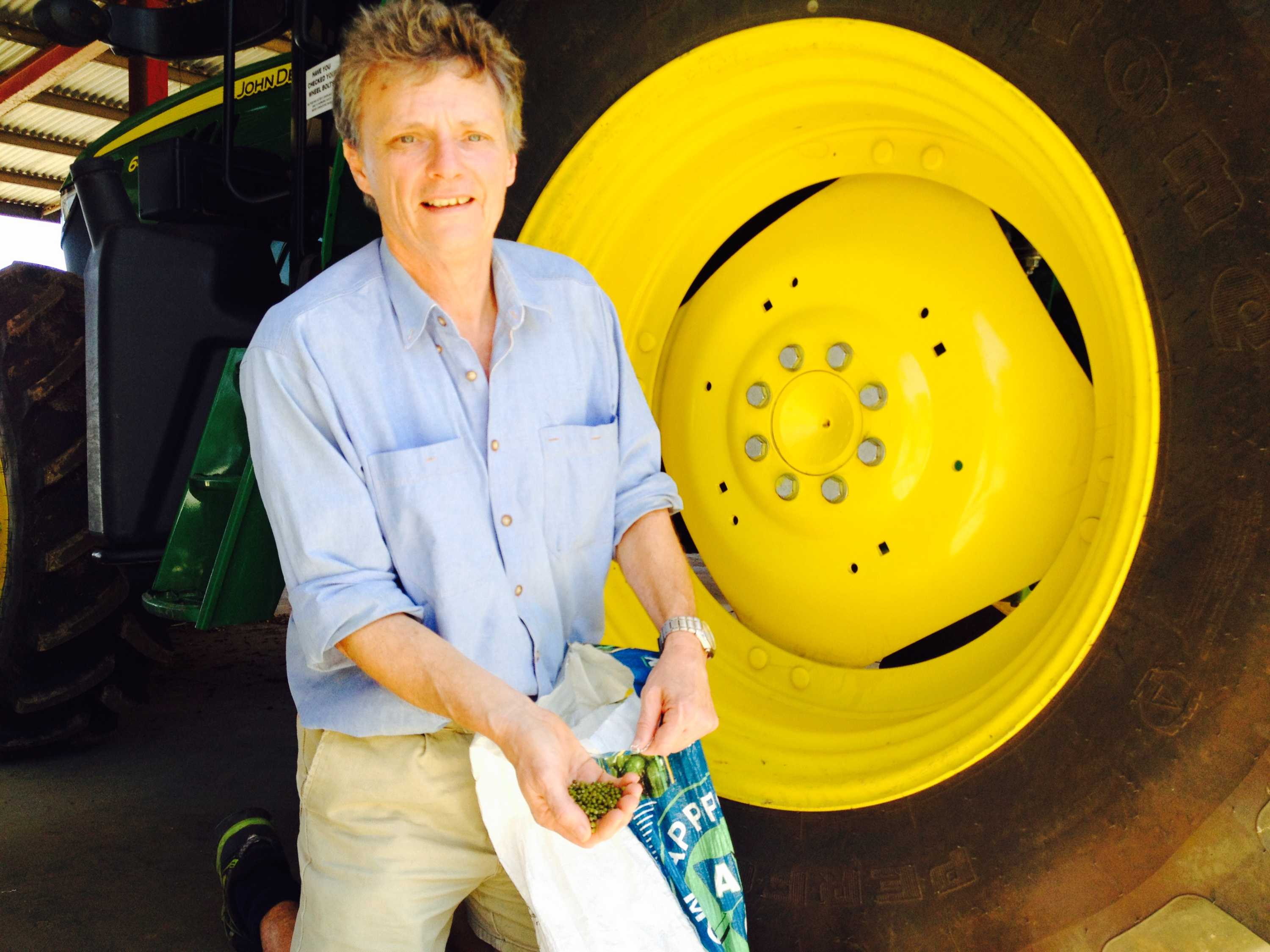 Mung bean industry is sprouting in North Queensland - ABC News