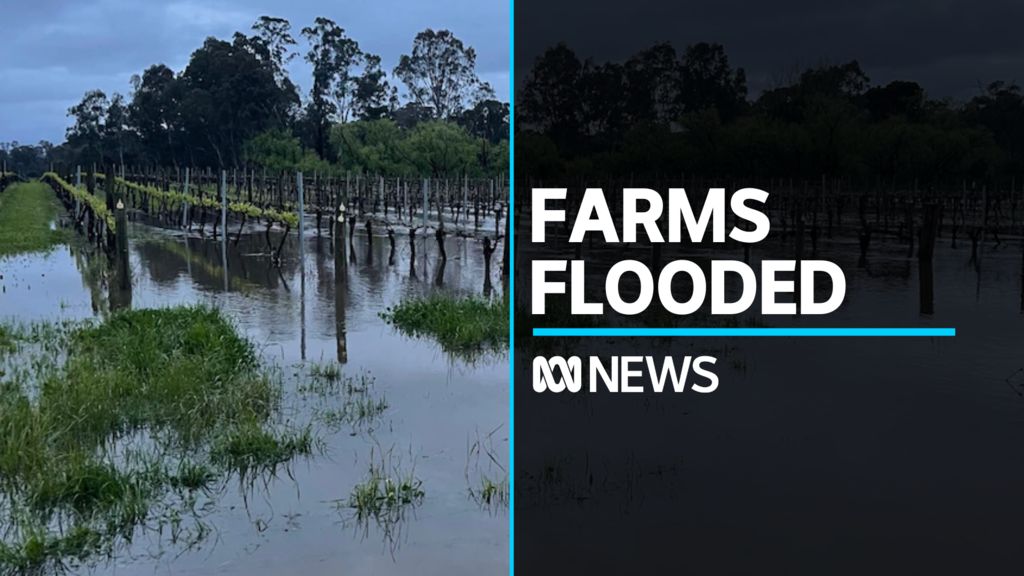 The Deal - 2010 - ABC News