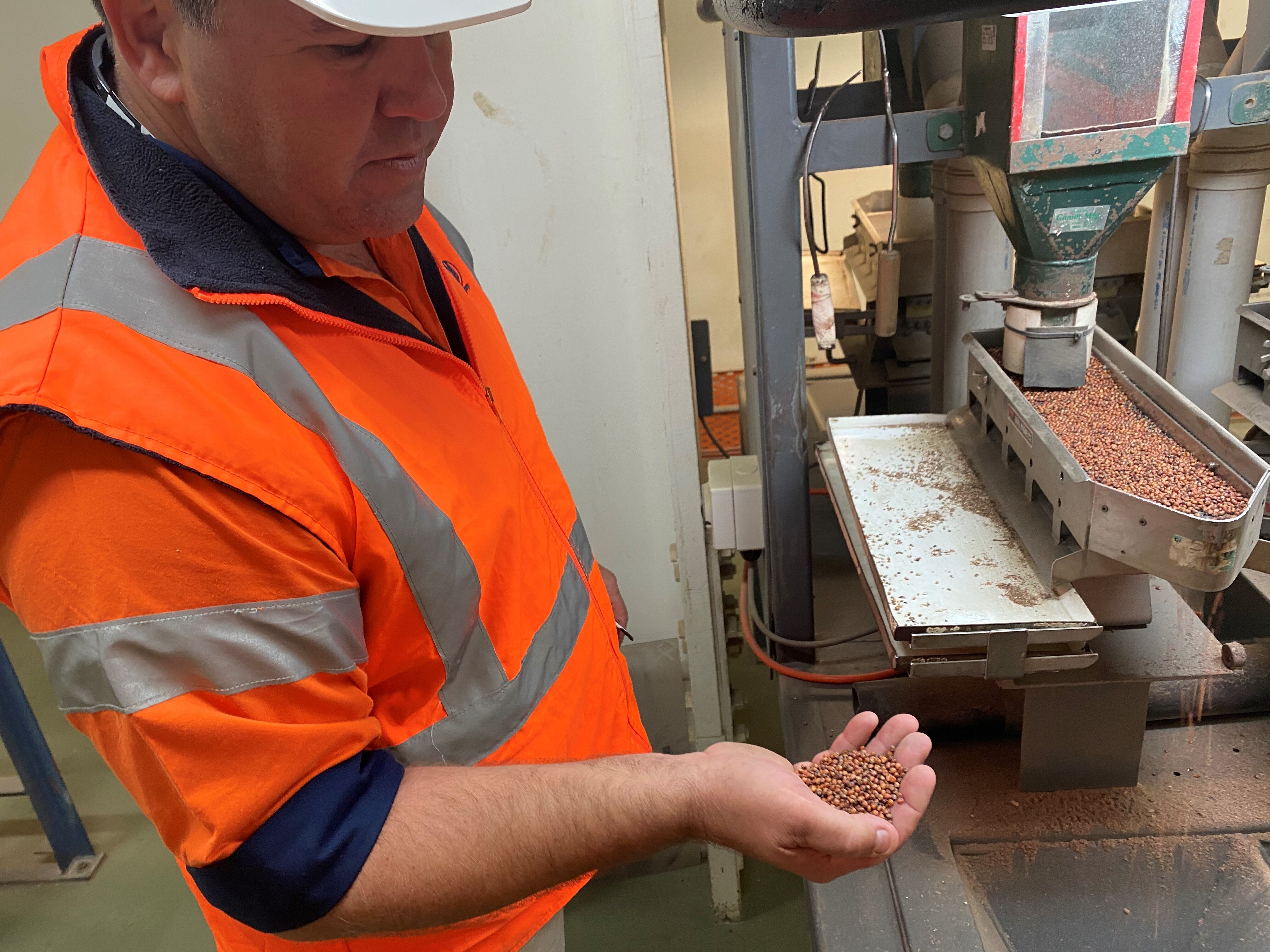 NSW grain going gangbusters as GrainCorp exports its millionth tonne ...