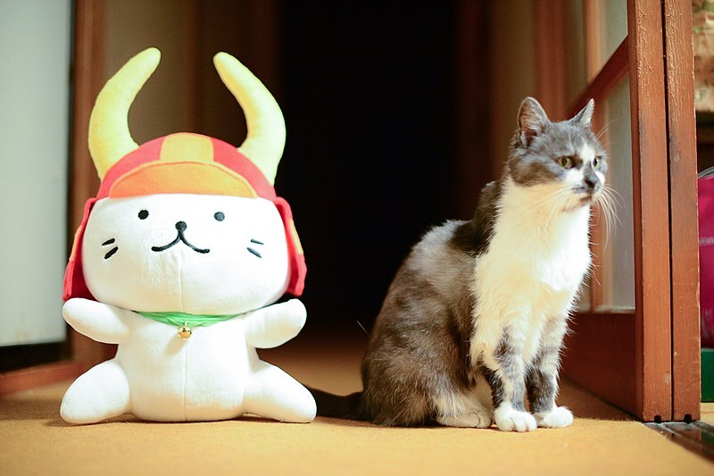 What is the story of maneki-neko, the Japanese beckoning cat? - ABC News