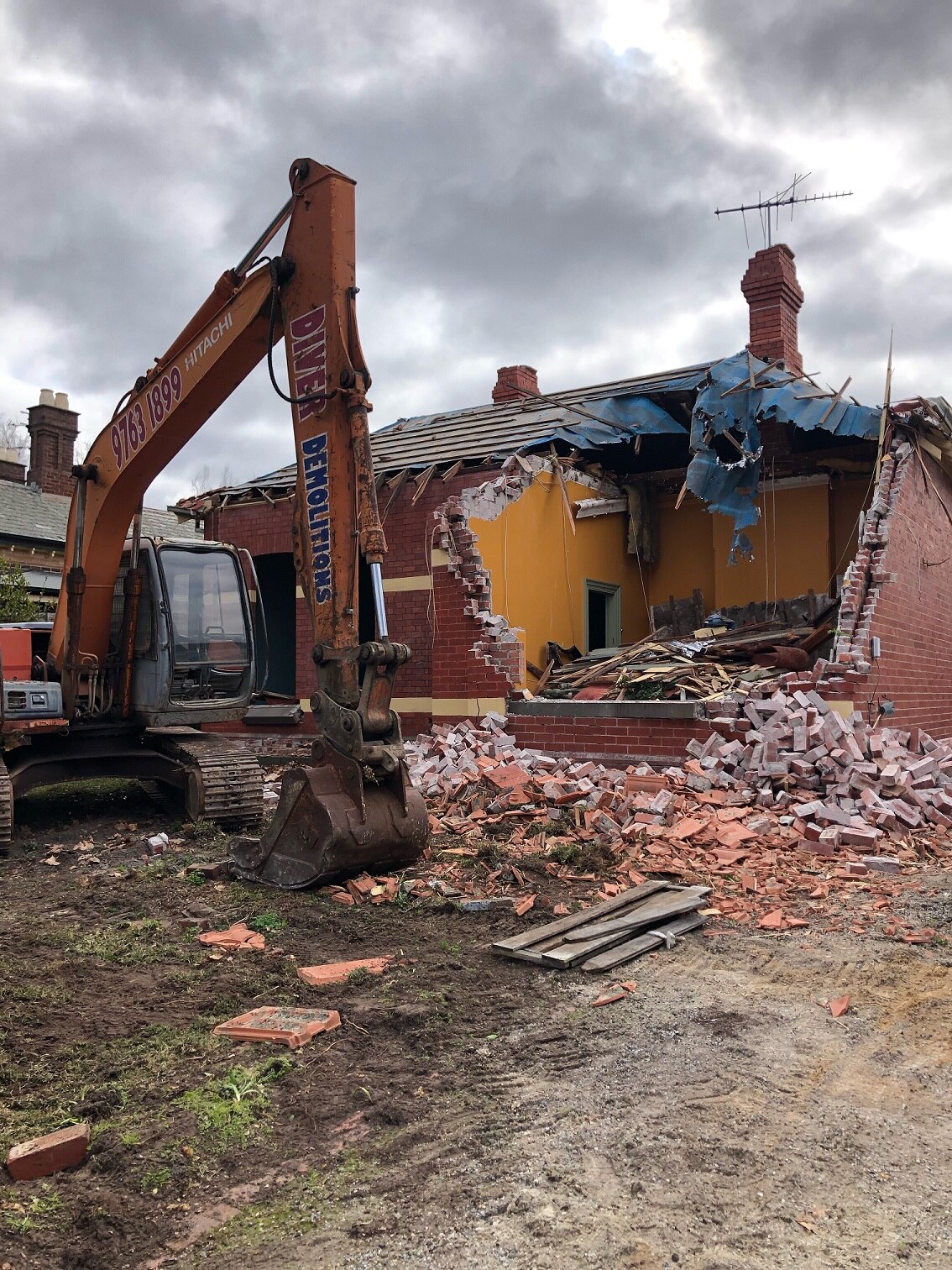 They're charming, but are they worth saving? The battle to save ...