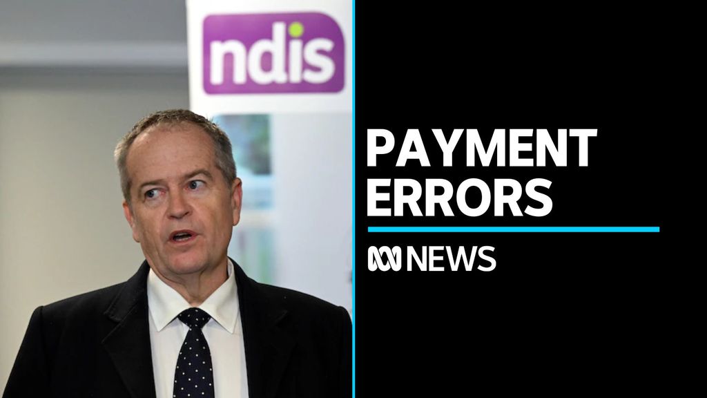 NDIS estimates $1.4 billion loss due to payment errors and fraud - ABC News