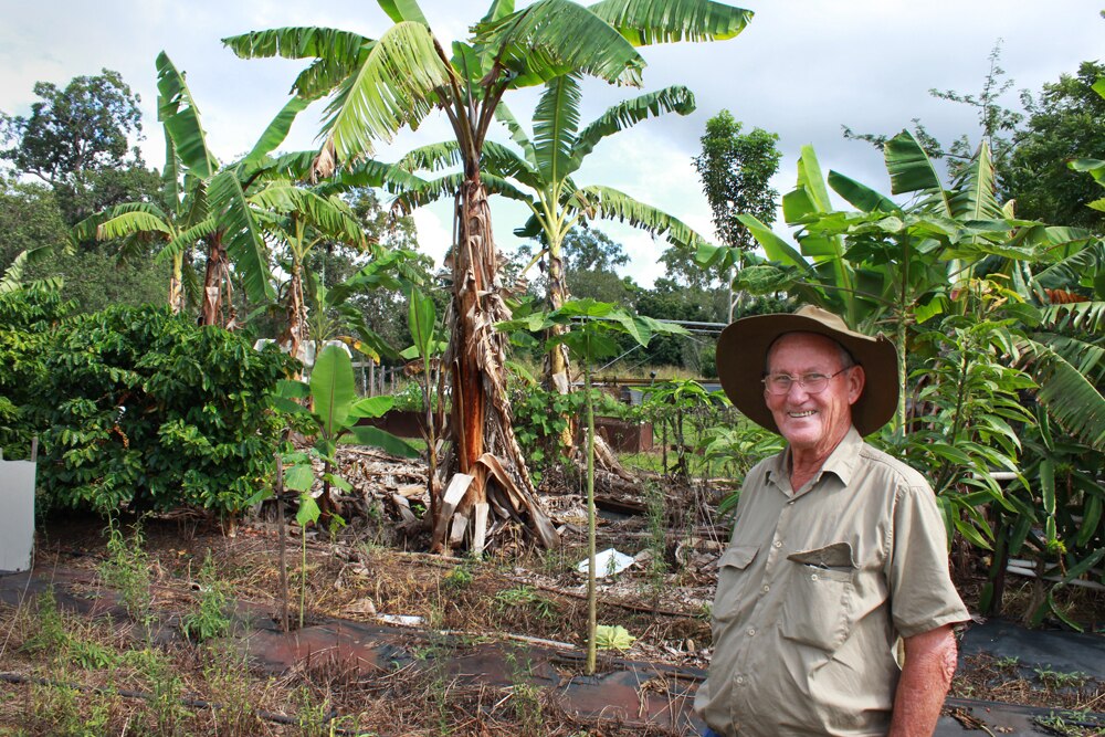 State of Origin's crystal ball: Maroon bananas dare not tell - ABC News