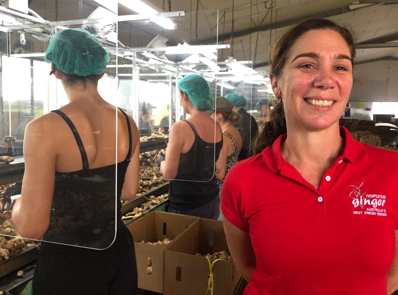 Ginger prices skyrocket to record highs amid worldwide shortage - ABC News