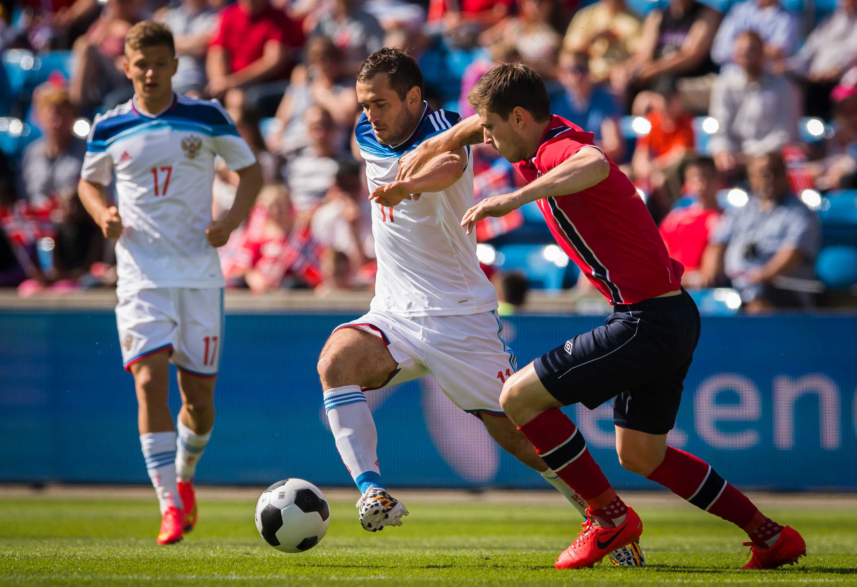 David Rowe - ABC News