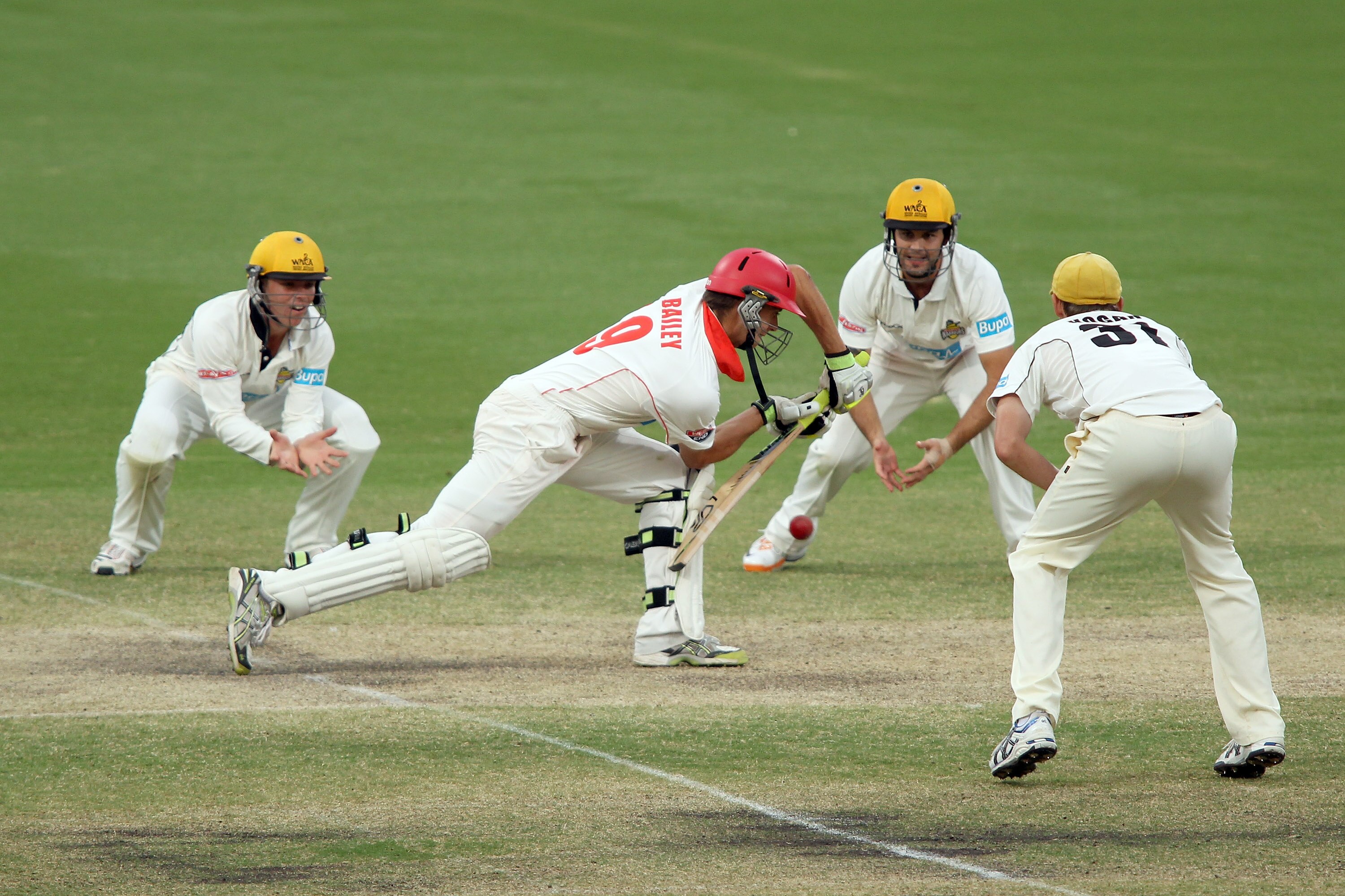 Redbacks hold on to deny WA outright win - ABC News