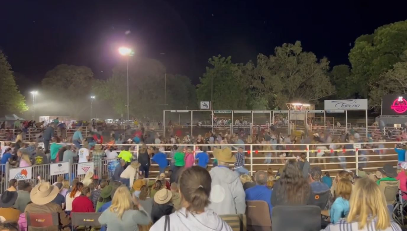 Man and child injured after bull escapes, charges through crowd at ...