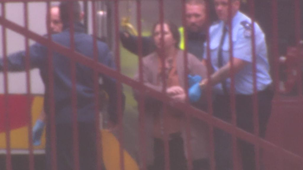 Convicted murderer Erin Patterson arrives at court - ABC News