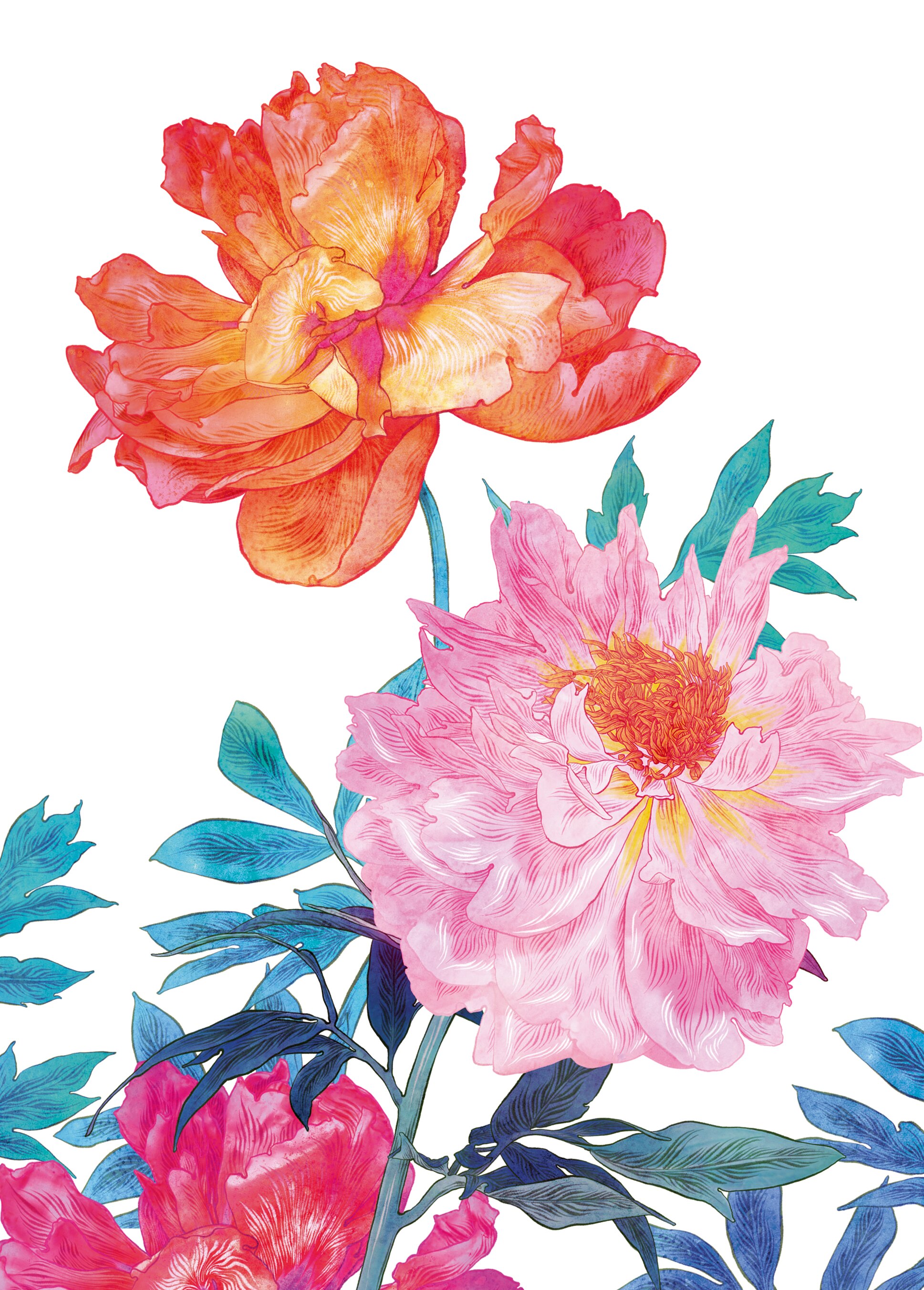 Blossom, practical and creative ways to find wonder in the floral world ...