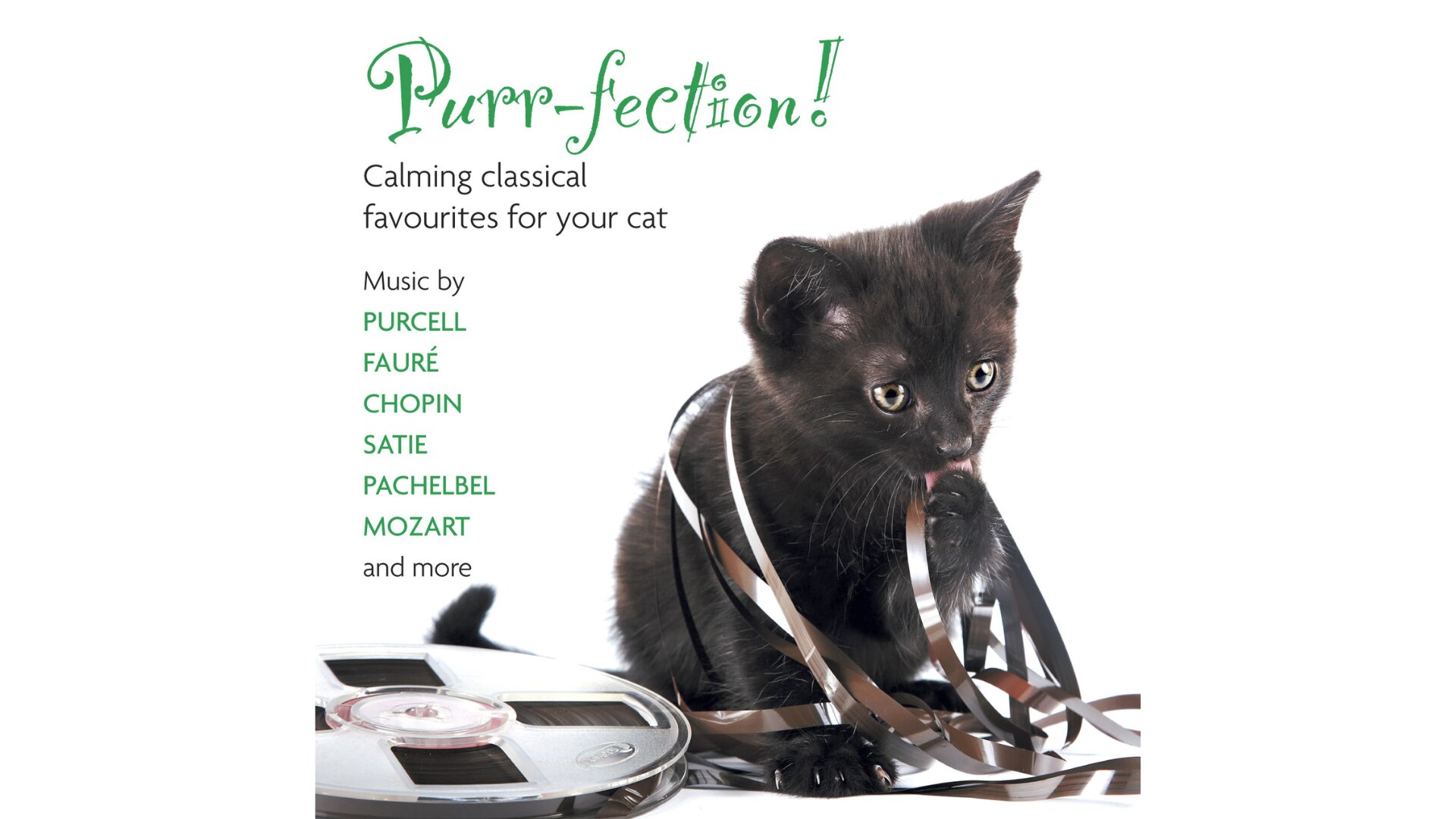Purr-fection! Calming Classical Favourites For Your Cat - ABC Music