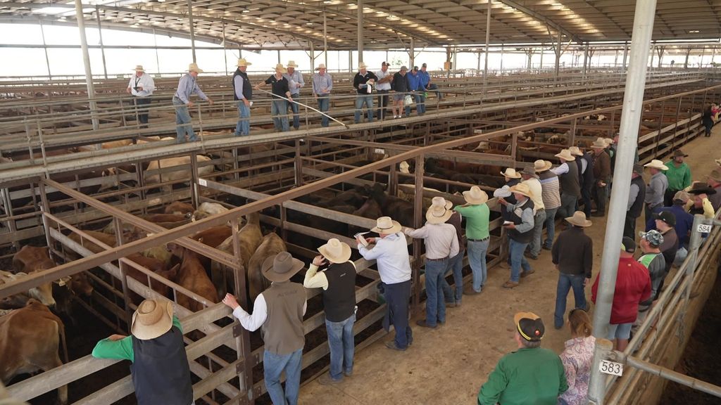 ABC Rural - ABC News