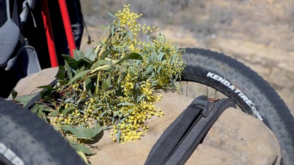 The Stolen Star: Repatriating the Star of Taroom - ABC News