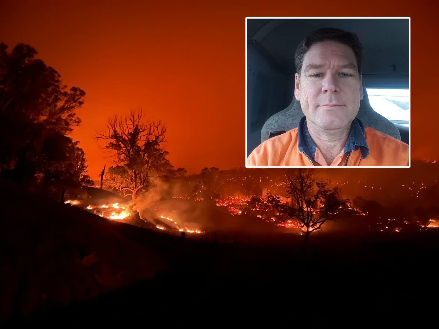 School libraries hit by the loss of a dying breed as teacher librarians ...