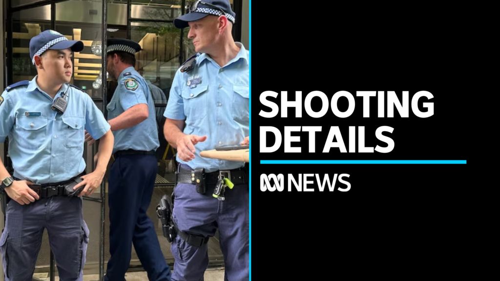 Court reveals Sydney gunman armed with pistol and sawn-off rifle - ABC News