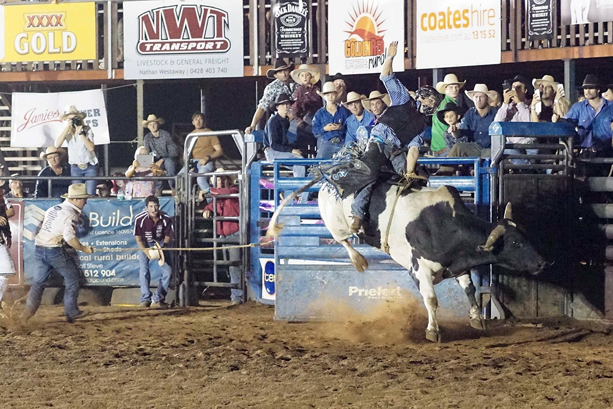 Guns N' Roses bull bucks off all riders at Darwin rodeo as thousands ...