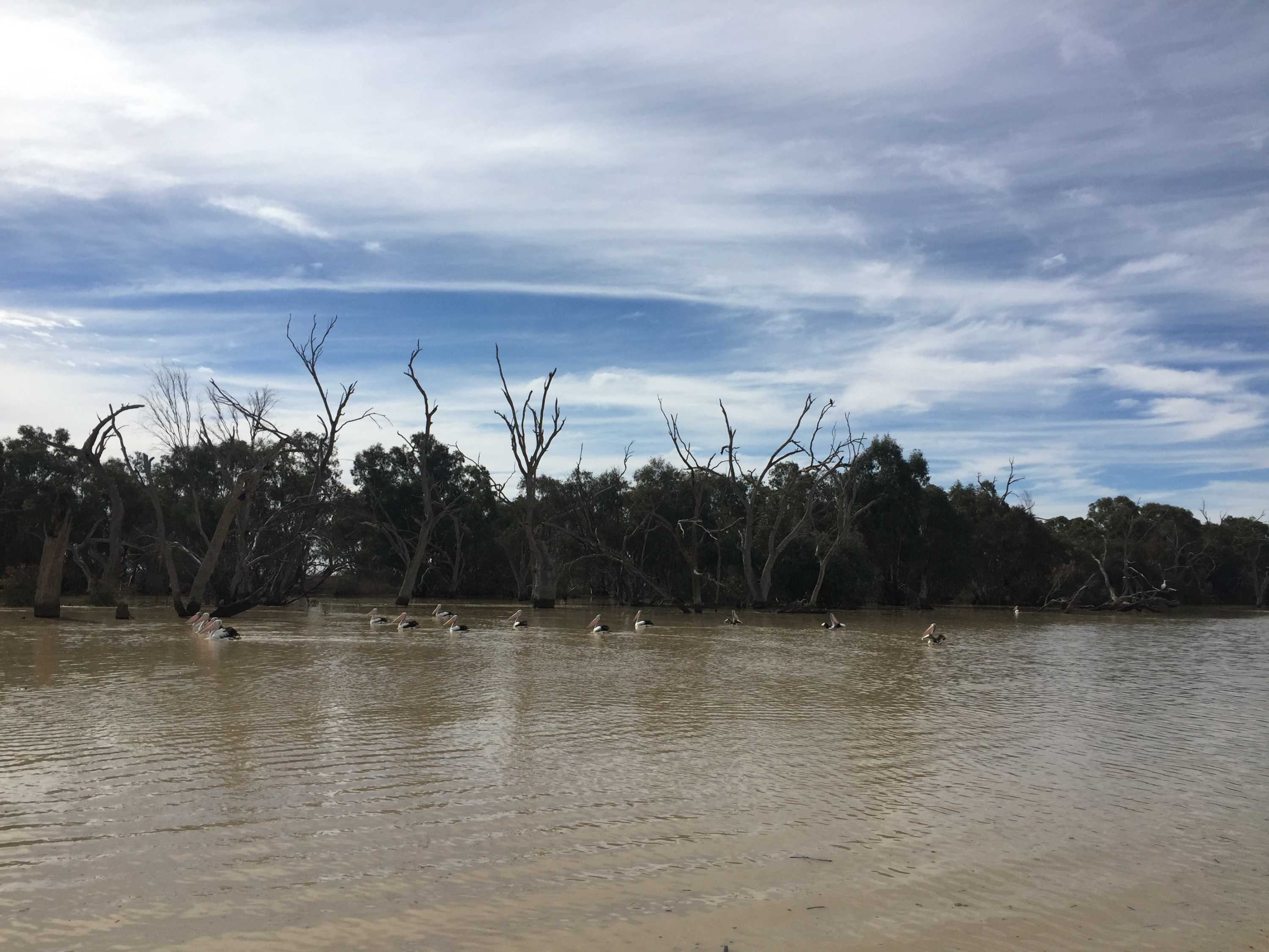 Lower Darling landholders welcome adjusted Menindee Lakes environmental ...