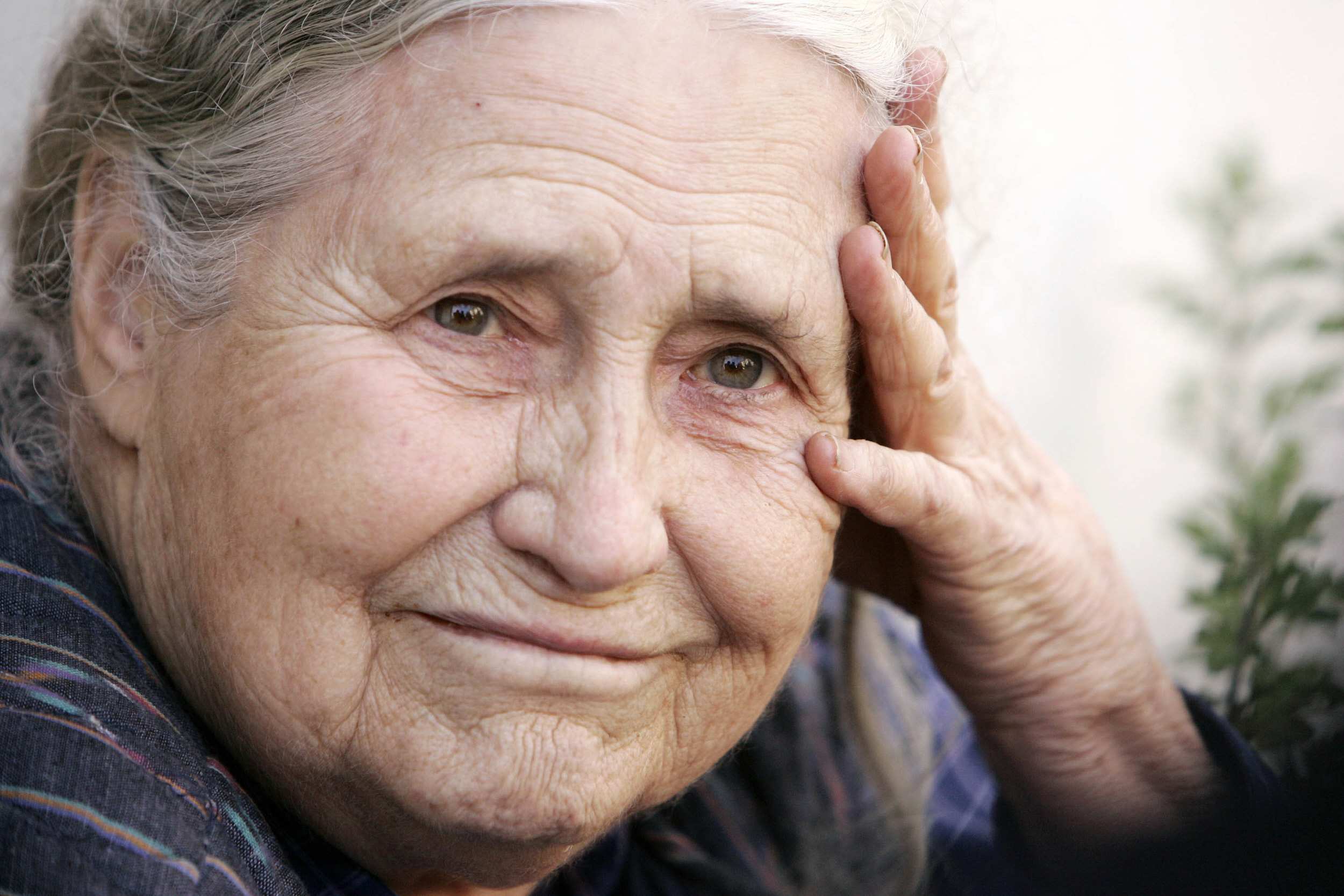 Nobel Laureate Doris Lessing dies age 94 - ABC listen