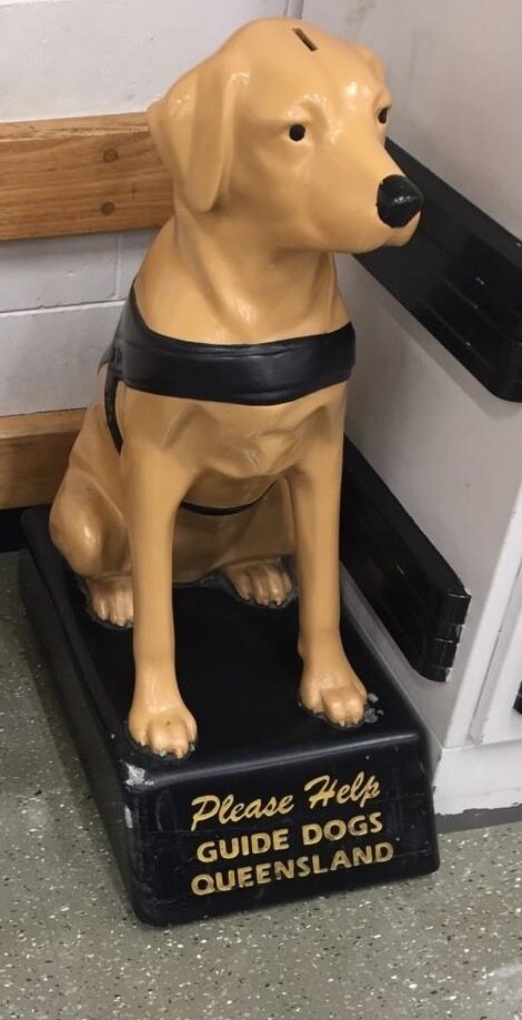 Man poses as Guide Dogs representative to steal collection dog from ...