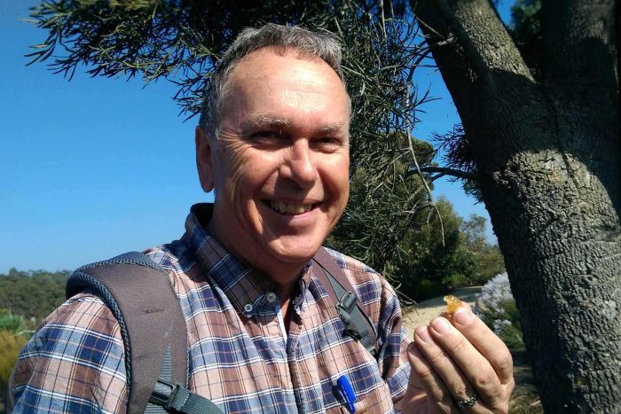 New plant discovery highlights south west biodiversity - ABC listen