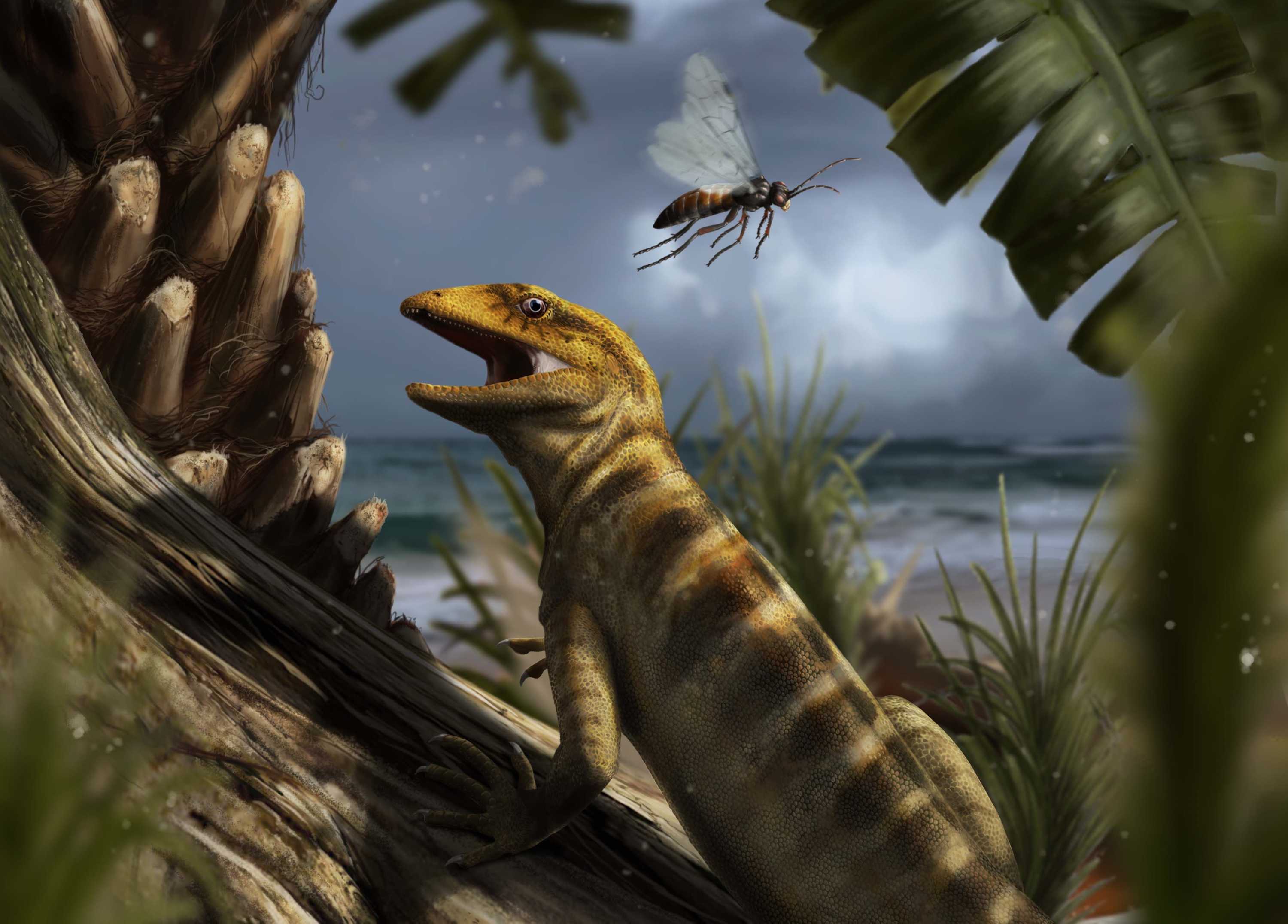 Lizard research discovers native reptiles evolved to detect introduced ...